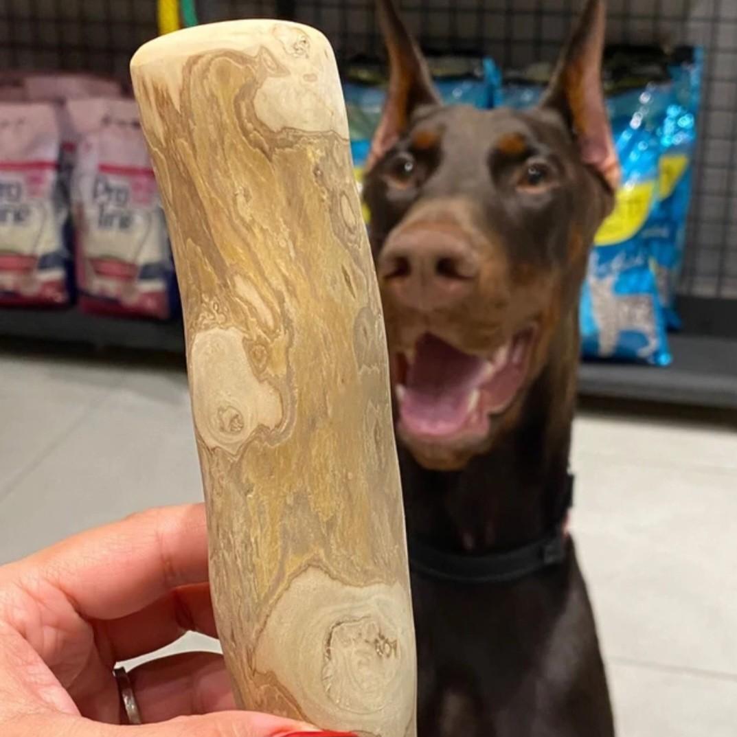 Natural Coffee Wood Chew for dogs natural chew instinct in 5 stick ...